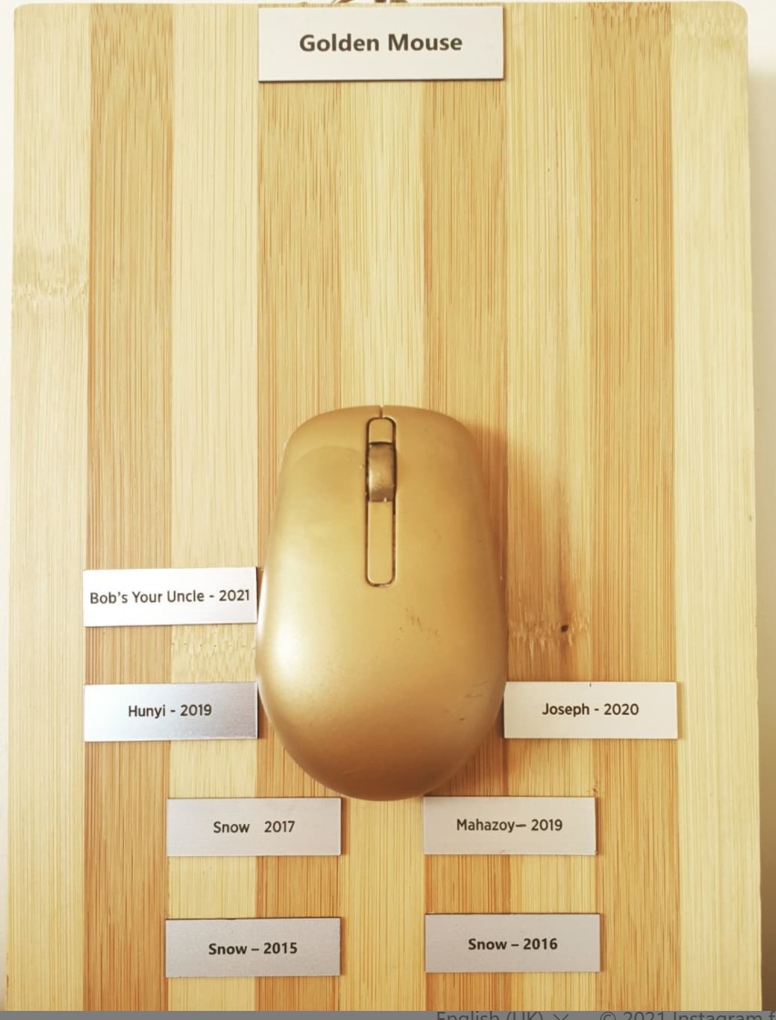 Golden Mouse | CosmoTippingComp